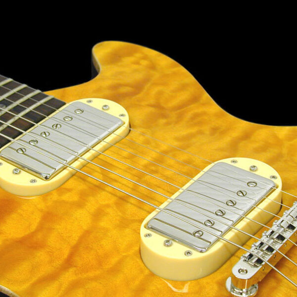 Avalon Gallery – Robin Guitars